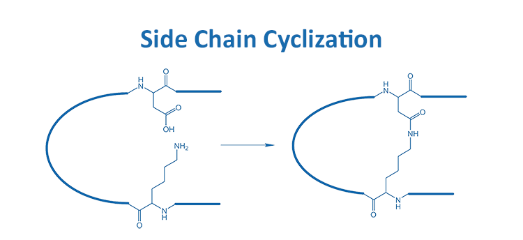 Side Chain Cyclization - Biosyntan GmbH